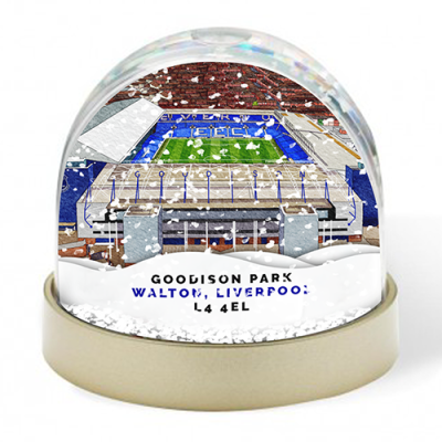 Everton Around The Grounds Goodison Park Stadium Water Colour Snow Globe